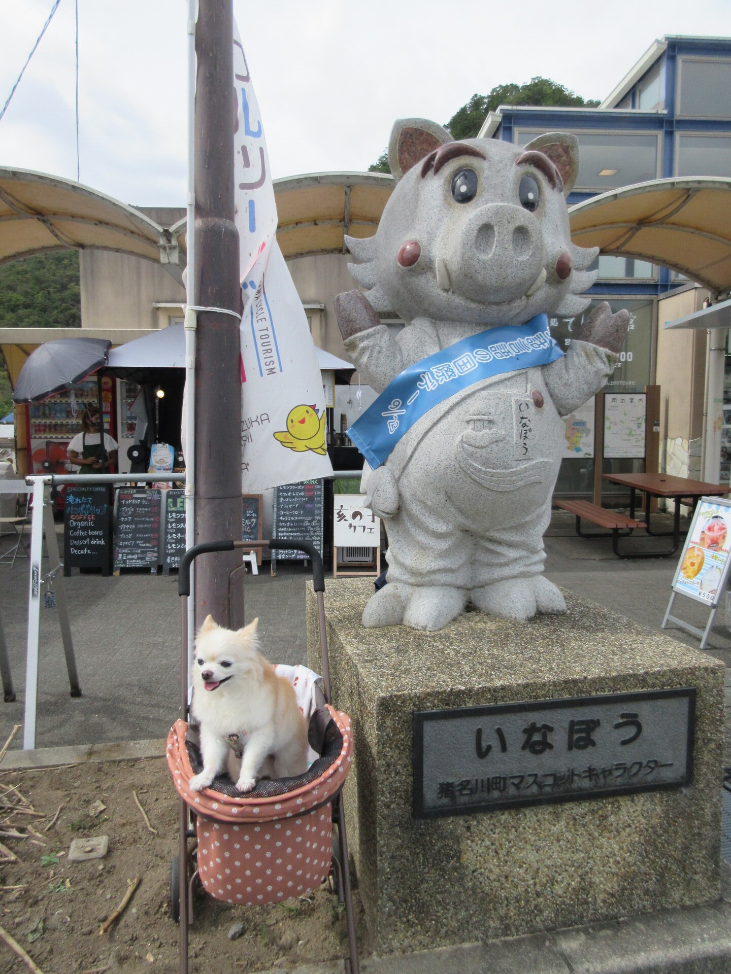 グランピング行ってきたよ～: blog ambar